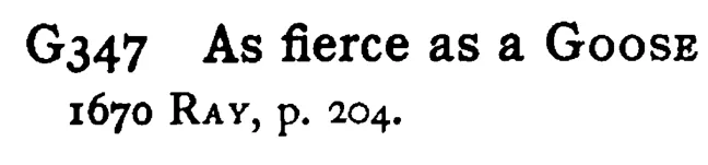 As fierce as a GOOSE | Tilley's Proverbs